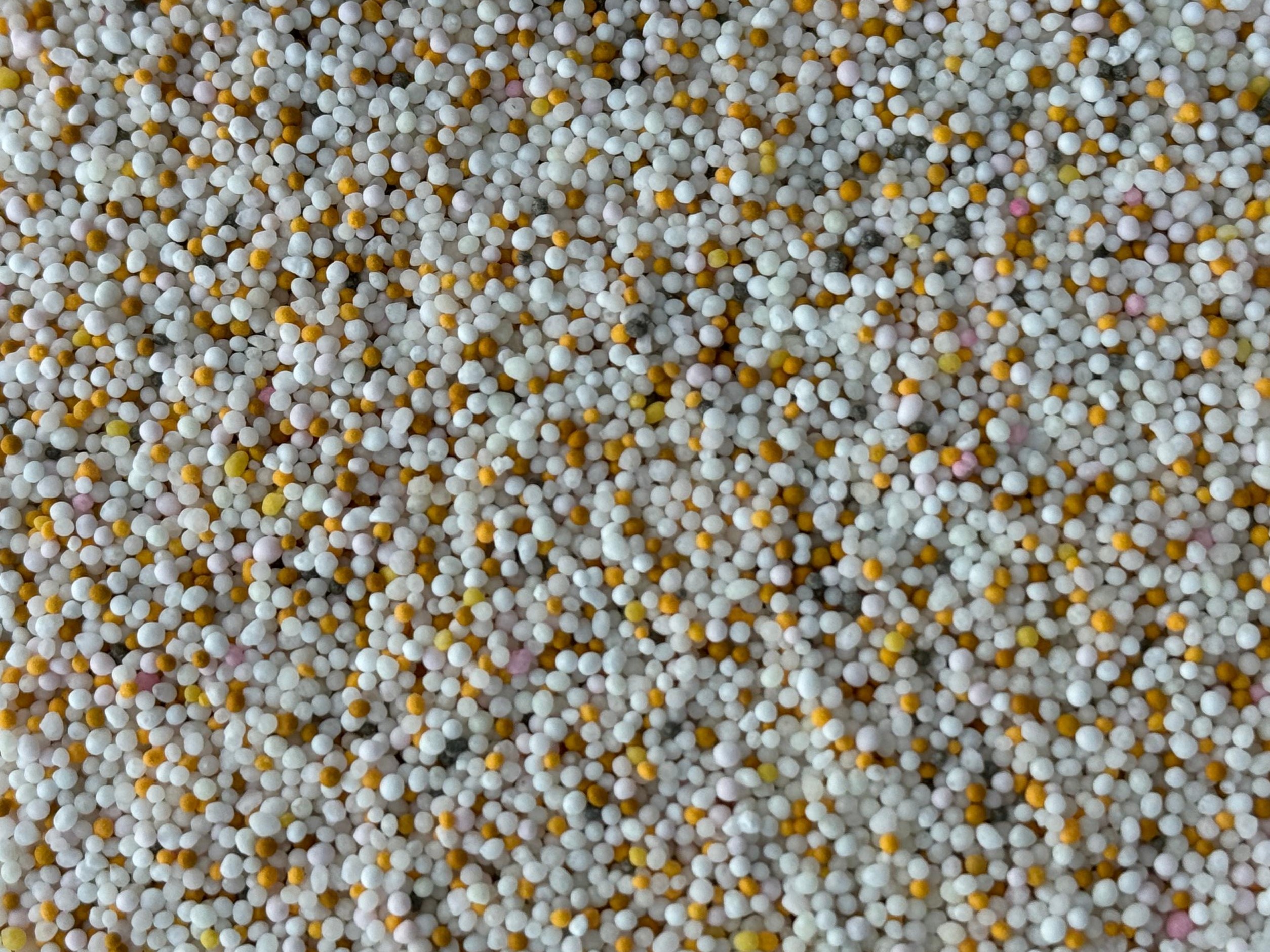 Riise - Personalized vitamins and supplements